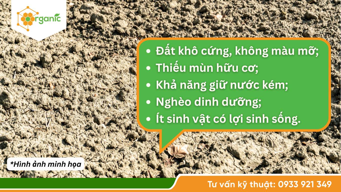 Đất bạc màu - Nguyên nhân, rủi ro và giải pháp